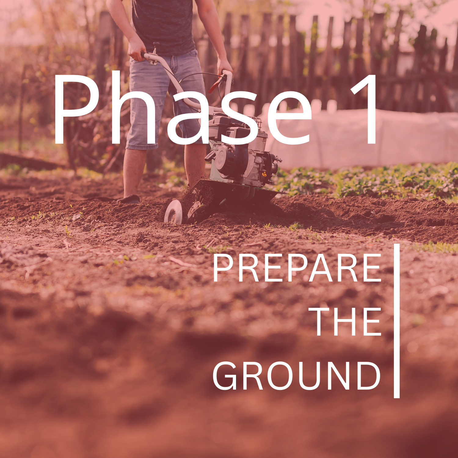 Factor One Marketing | Google Ads Management